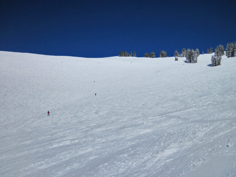 Guide to Vail's Back Bowls | Photos & Info | Coloradotopia